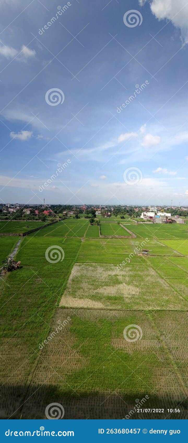 Wide Open Field with Green and Blue Color Stock Image - Image of grassland, blue: 263680457