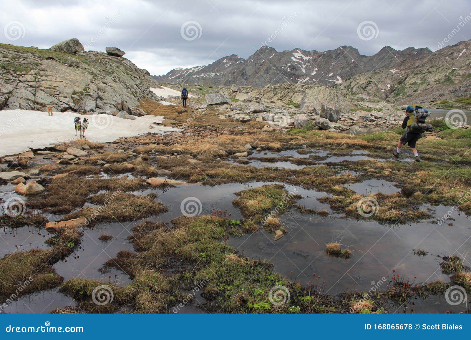 Wide open landscape stock photo. Image of landscape - 168065678