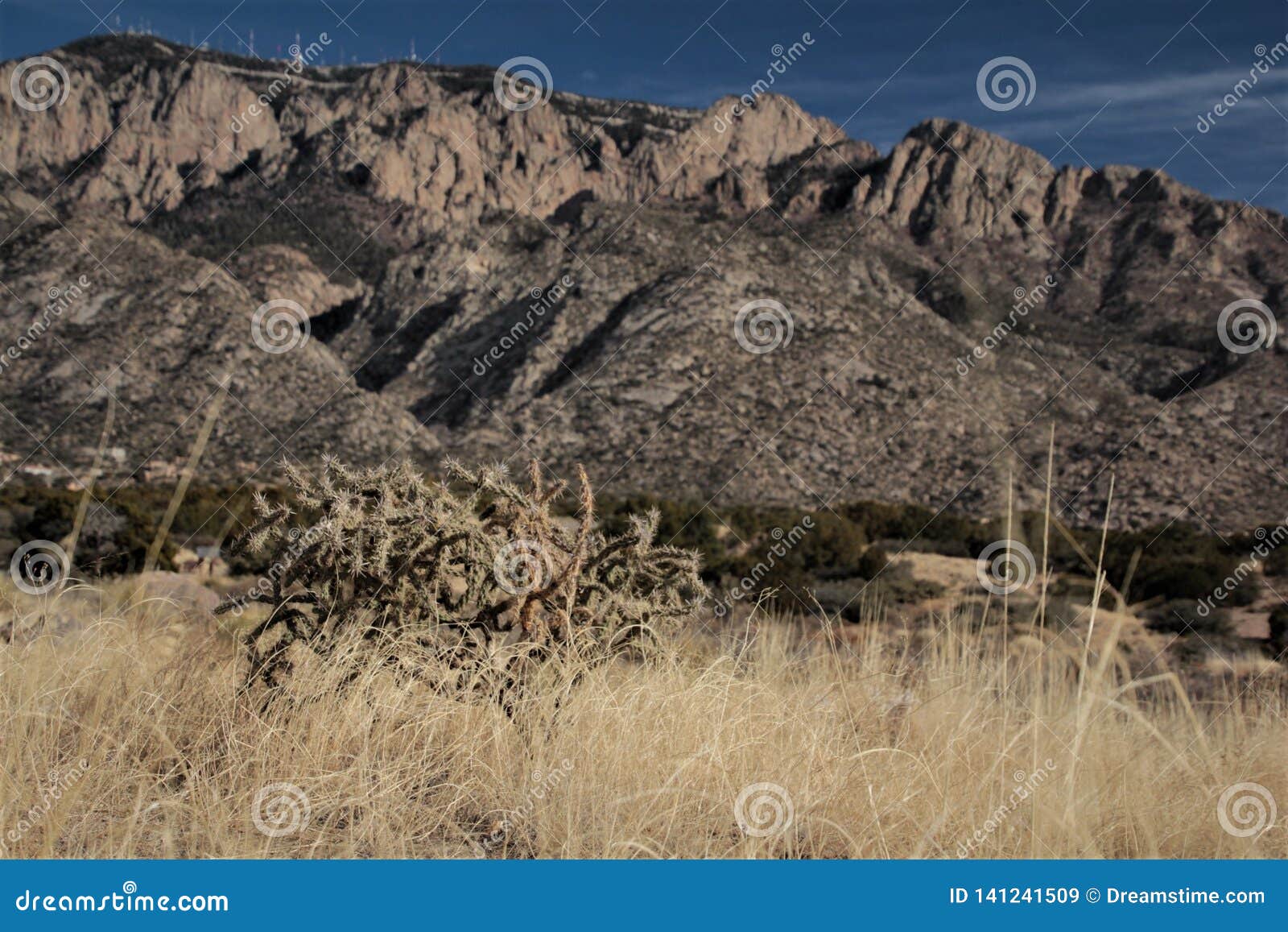 Wide Open Plain Royalty-Free Stock Photo | CartoonDealer.com #141241509