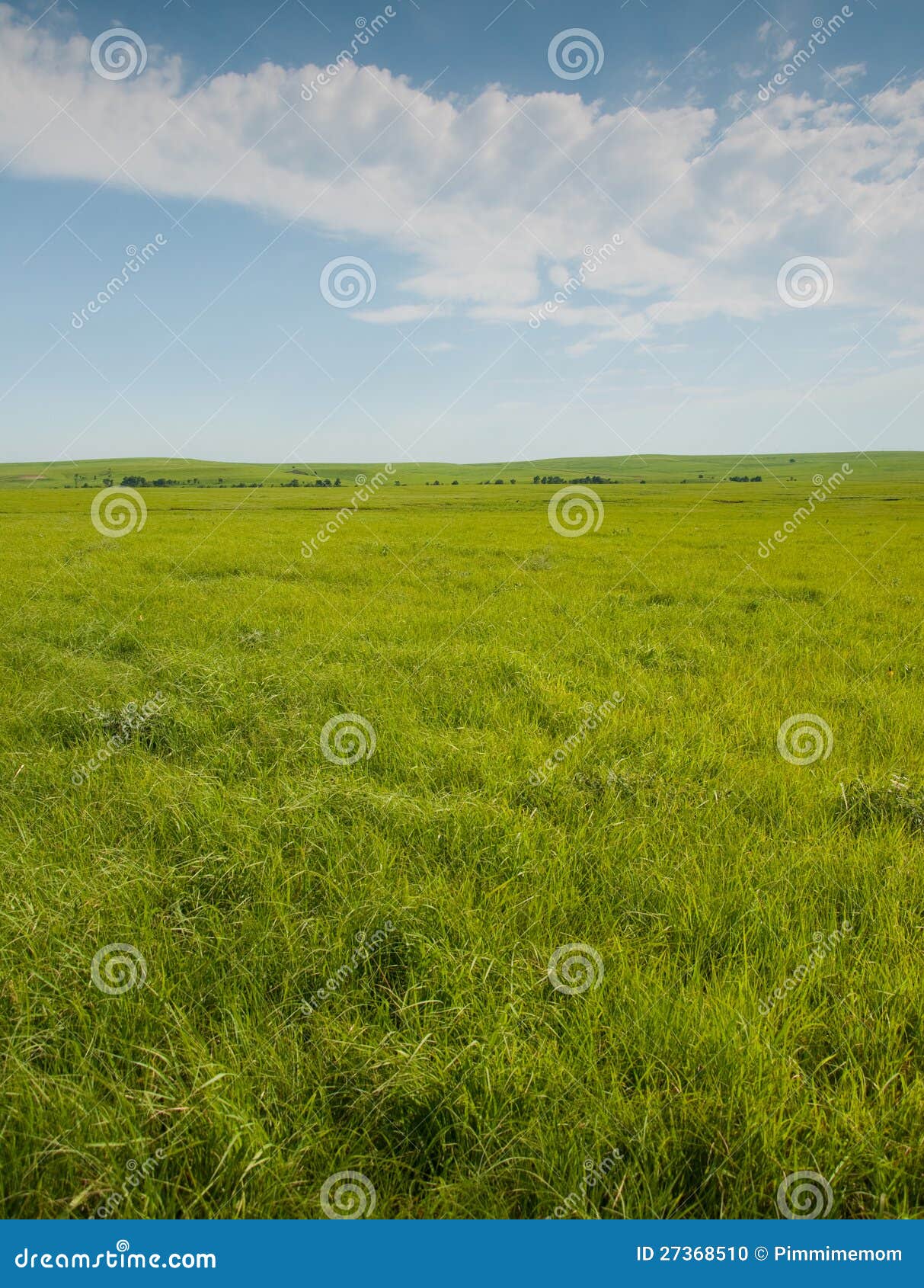 Wide Open Prairie with Lush Green Grass Stock Photo - Image of ...