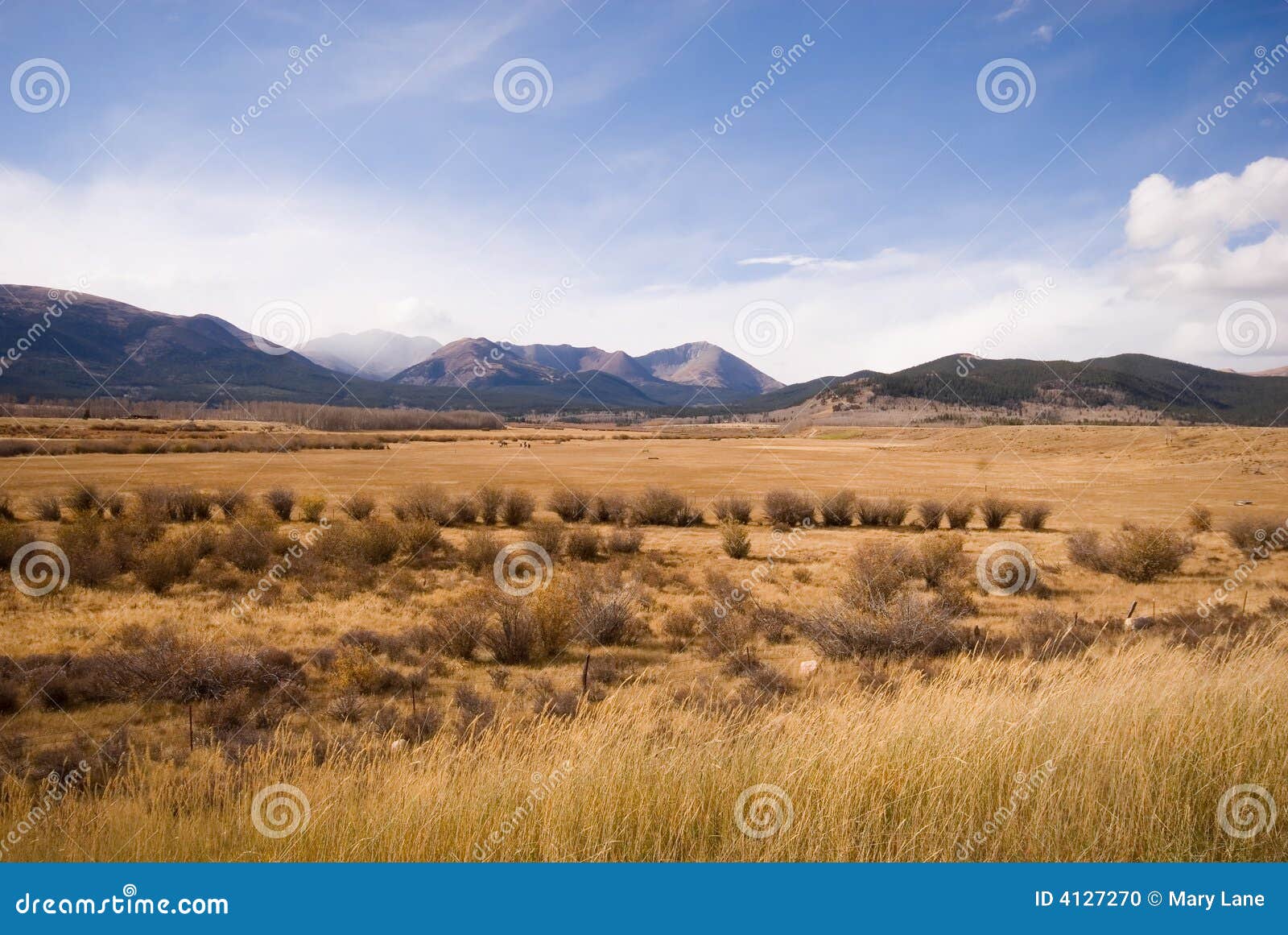 Wide Open Range stock photo. Image of nature, seasonal - 4127270