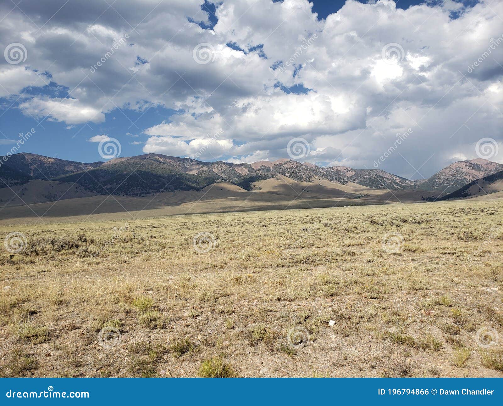 Wide open ranges stock photo. Image of field, randes - 196794866
