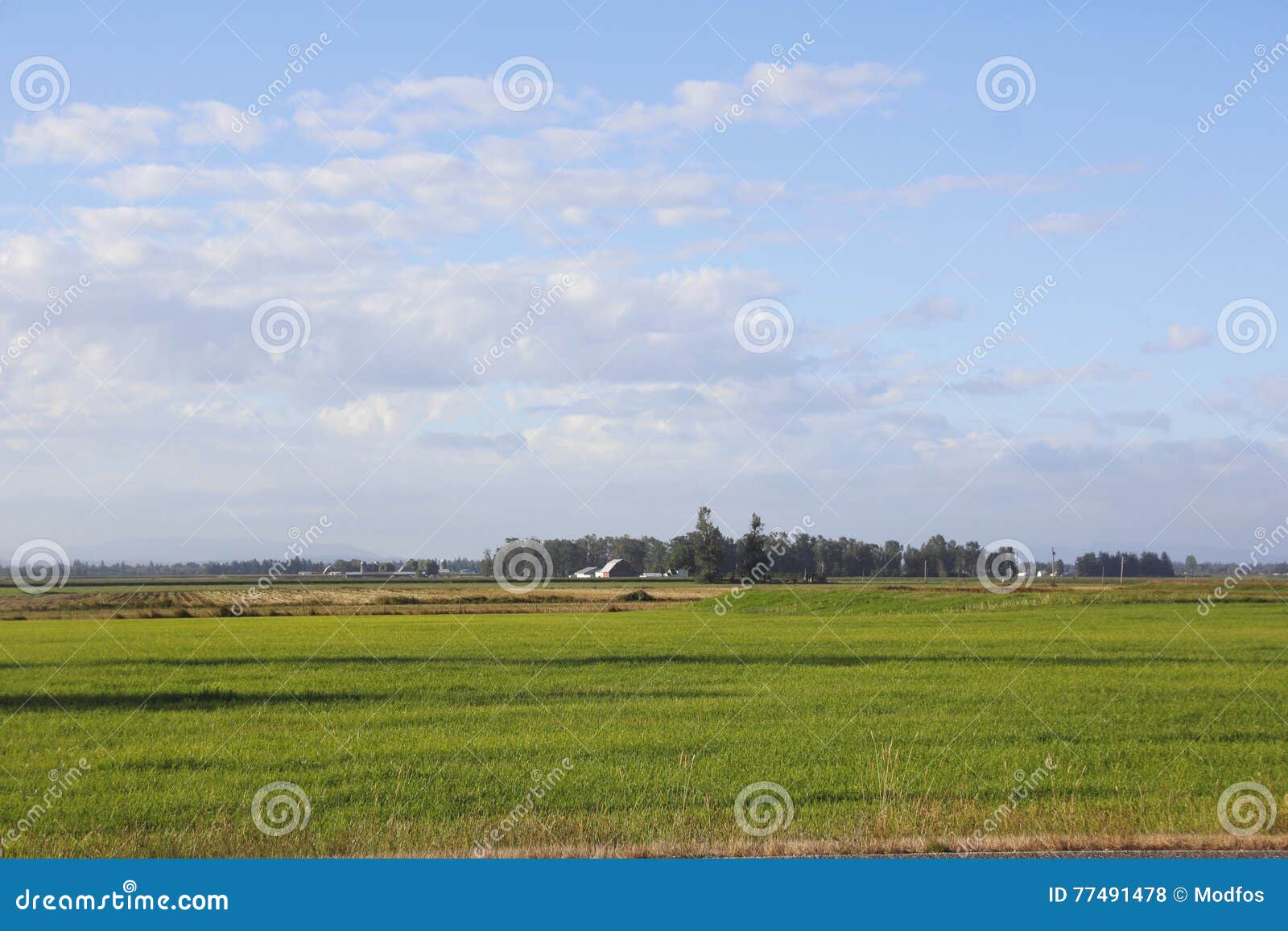 Wide Open Rural Washington Landscape Stock Photo - Image of flat, field ...