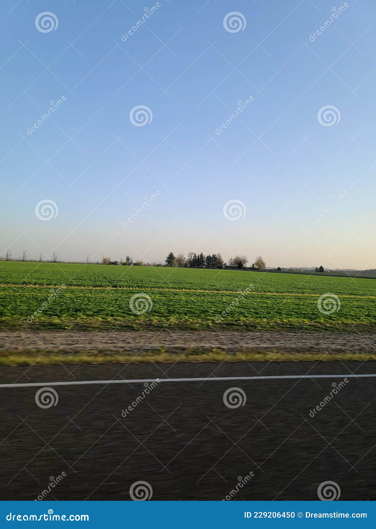 Wide open spaces stock photo. Image of wind, crop, hill - 229206450