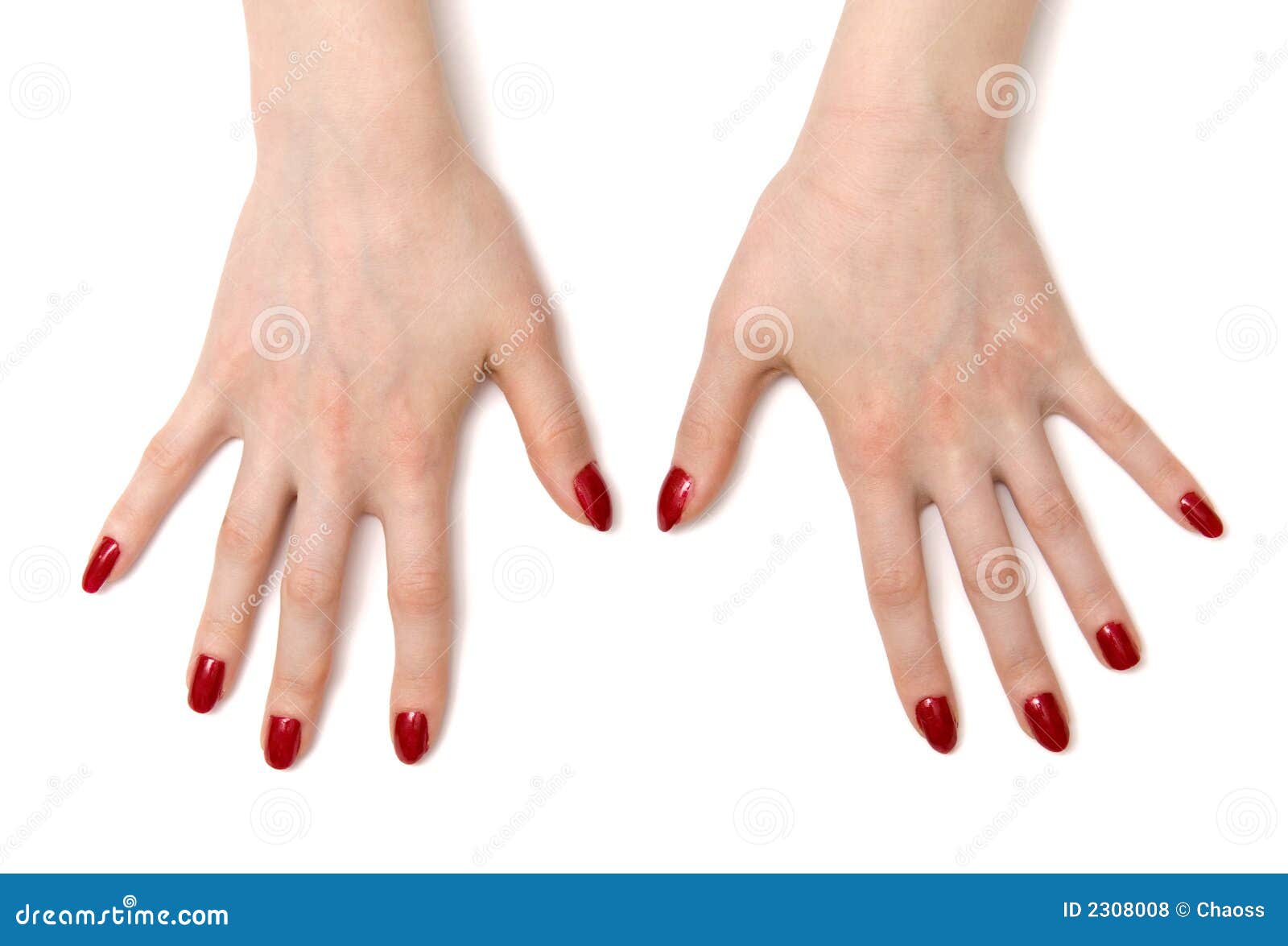 Wide open woman hands stock photo. Image of finger, bristling - 2308008