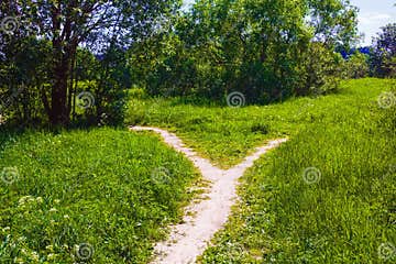 A Wide Path in the Grass is Divided into Two Narrow Paths, Diverging in ...