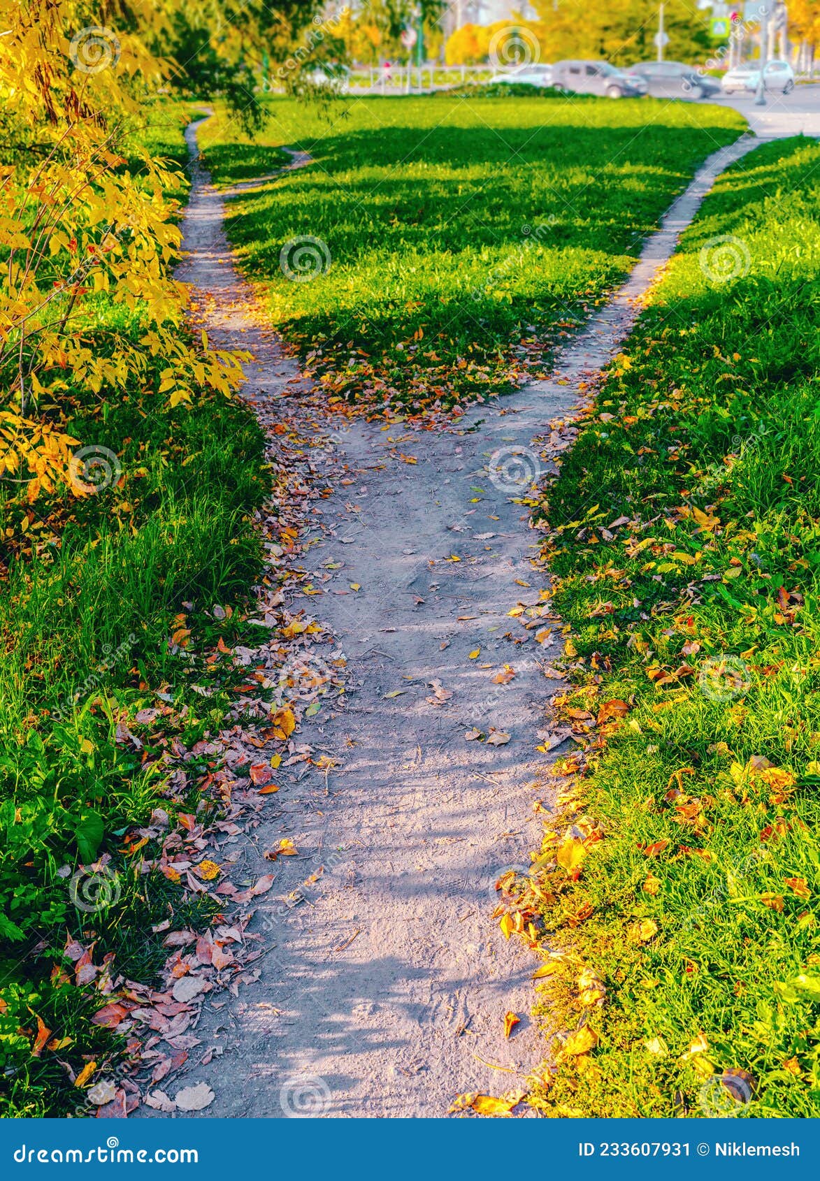 Two Diverging Paths In A Lush Green Park In Sydney Stock Photography ... Two Diverging Paths In A Lush Green Park In Sydney Stock Photography ...