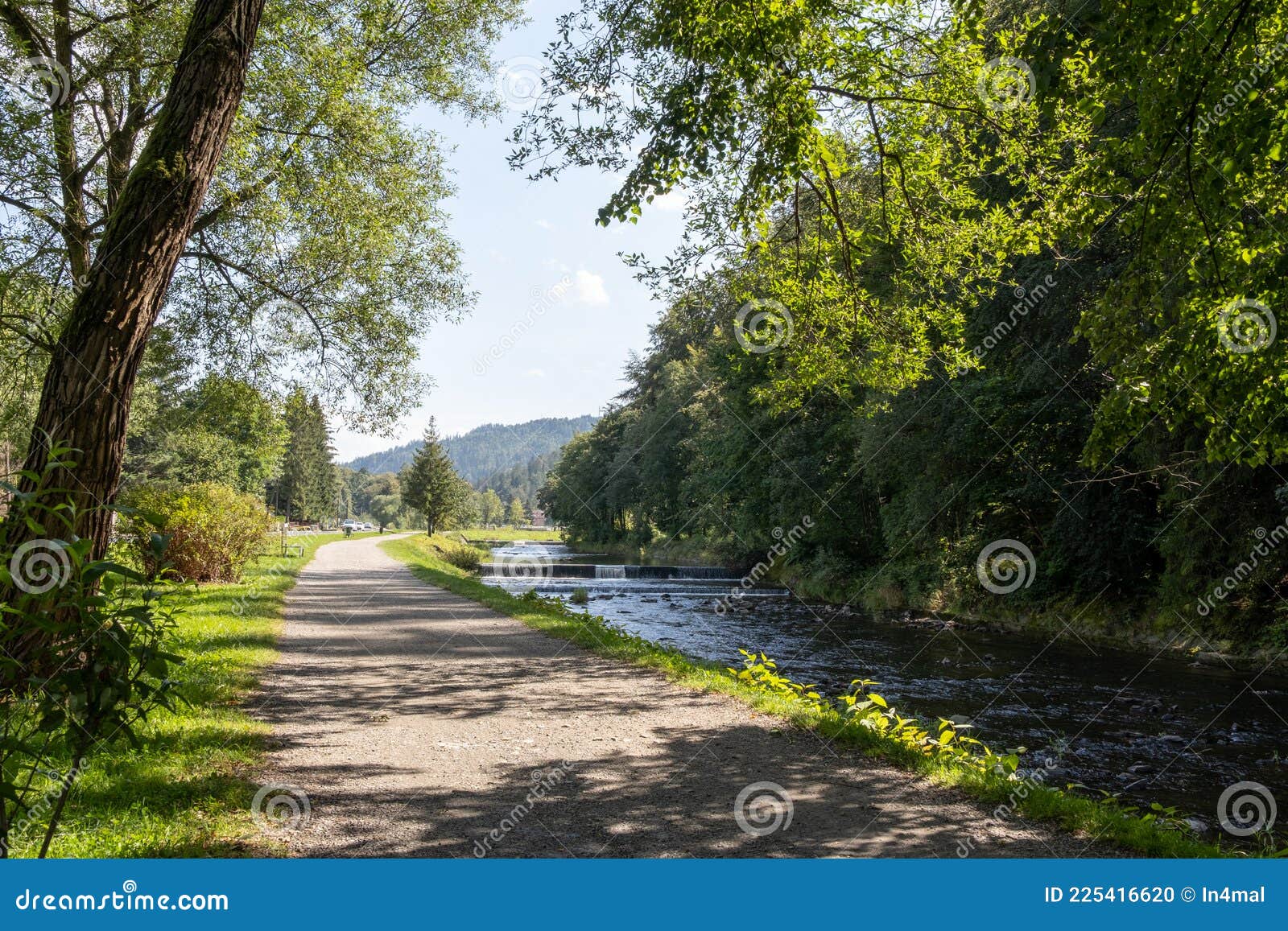 Wide Path Next To River in Forest Stock Photo - Image of river ...
