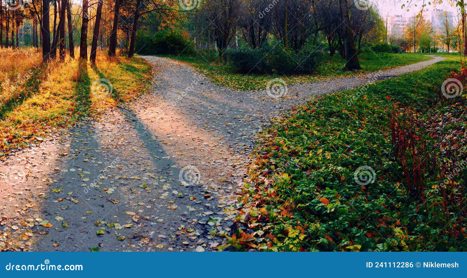 A Wide Path in the Rays of the Setting Sun on the Outskirts of the Park ...