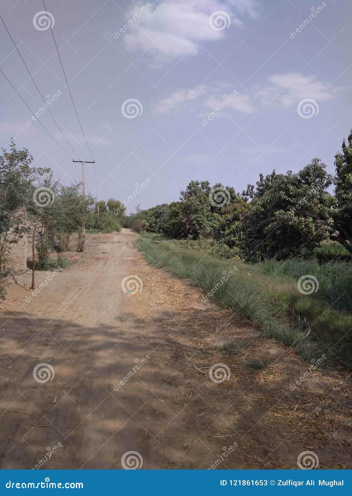 A wide path stock image. Image of path, wide, mango - 121861653