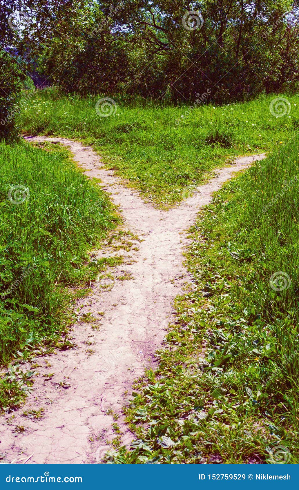 The Wide Pathway in the Grass Splits into Two Narrow Paths Stock Image ...