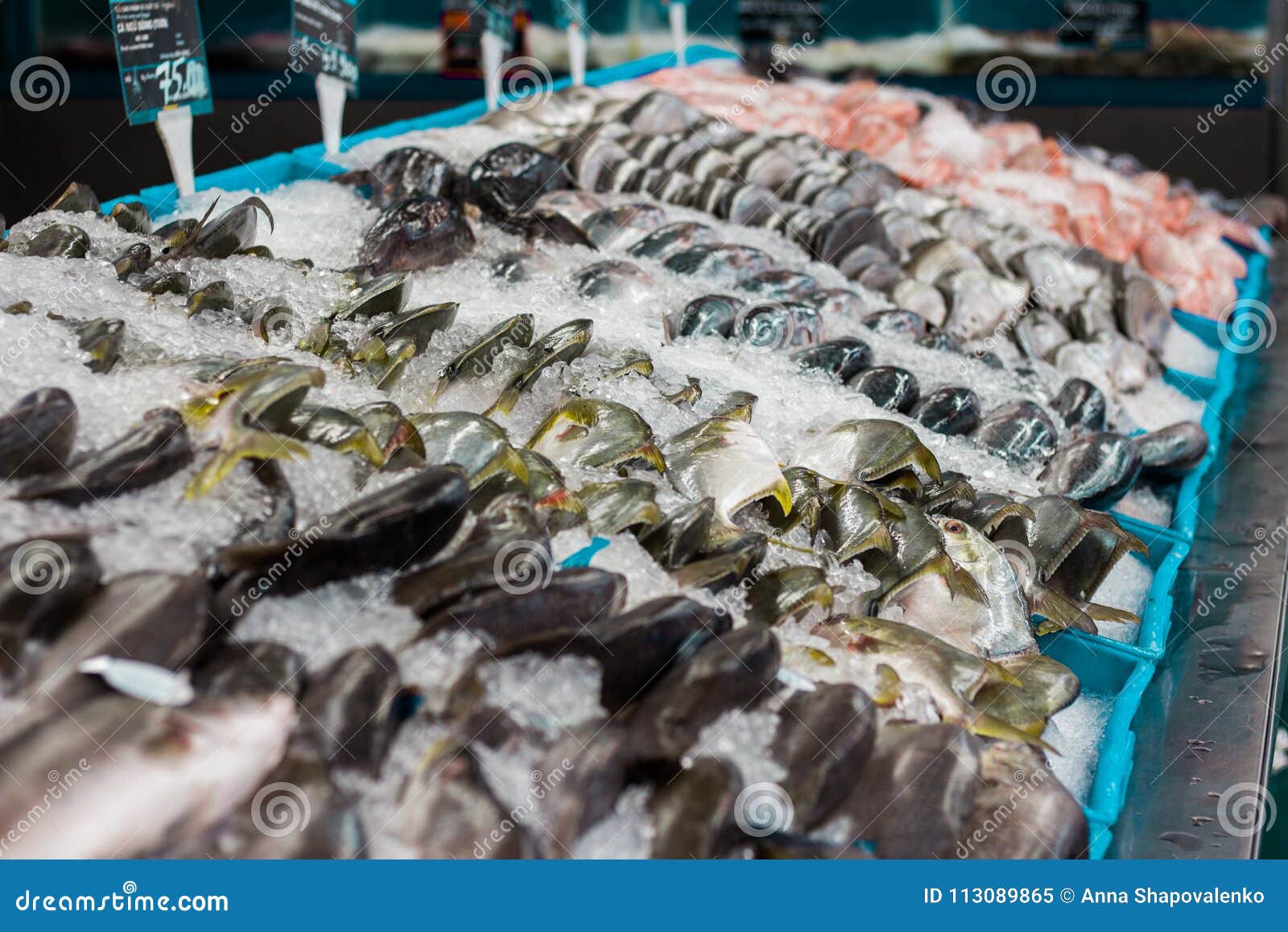 Wide Range of Fresh Fish in Supermarket on Ice Stock Image - Image of ...