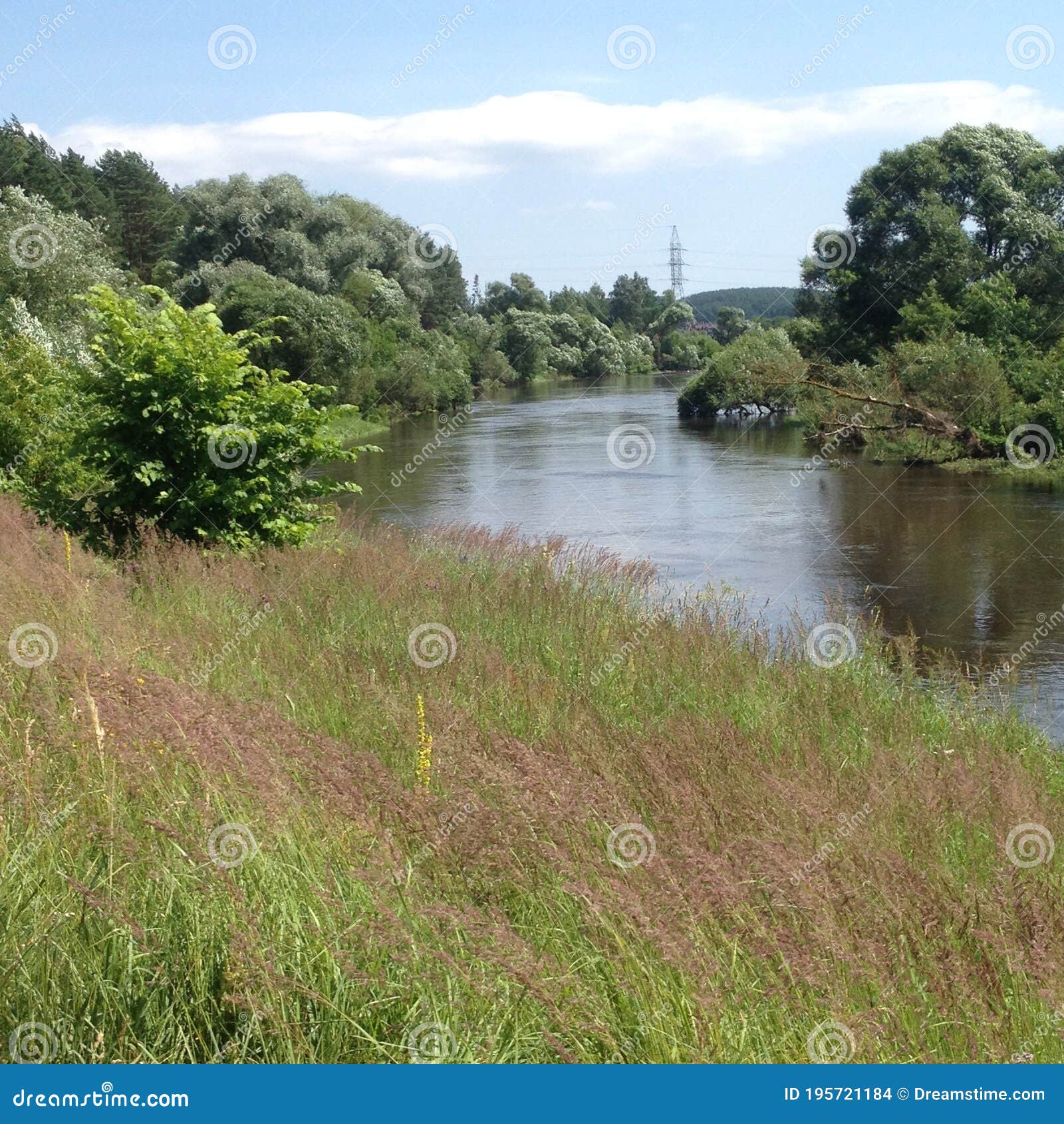 A Wide River Flows Along the Sprawling Willows Stock Photo - Image of ...