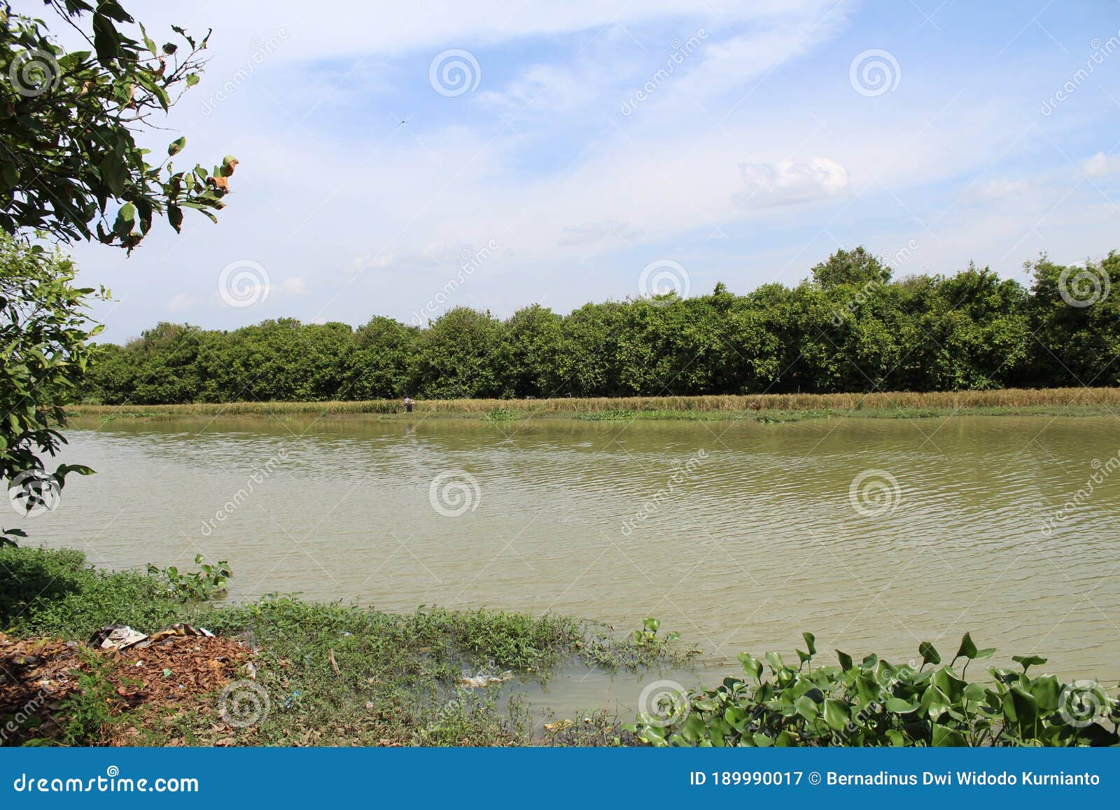 A wide river full of water stock image. Image of dirty - 189990017