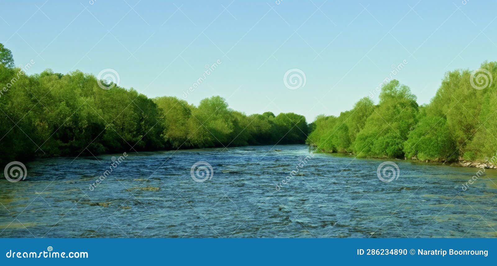 Wide River Surrounded by the Nature of Green Trees and Rivers during ...