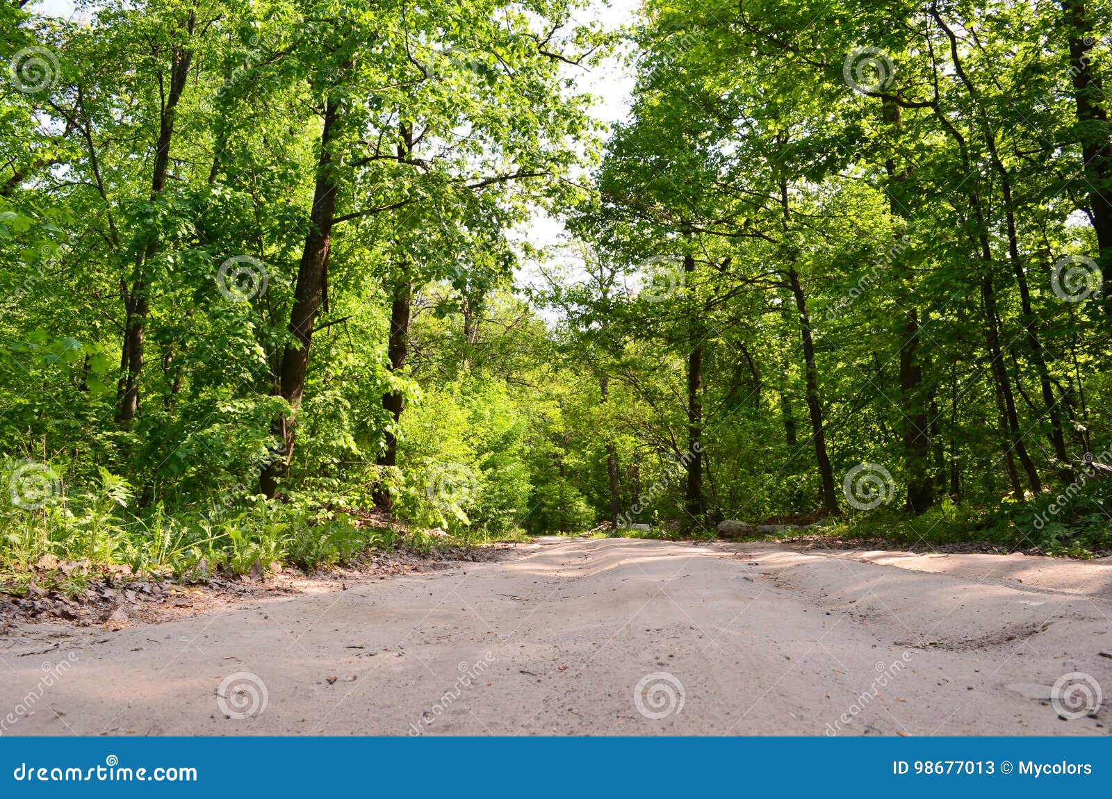 From The Wide Road Opens Fascinating View Of The Rocky Mountains. Stock ...