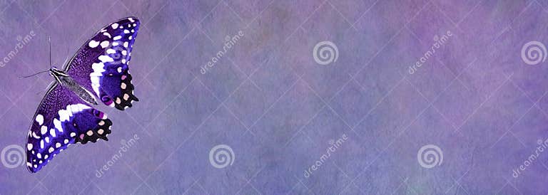 Purple Butterfly Message Board Banner Stock Photo - Image of effect ...