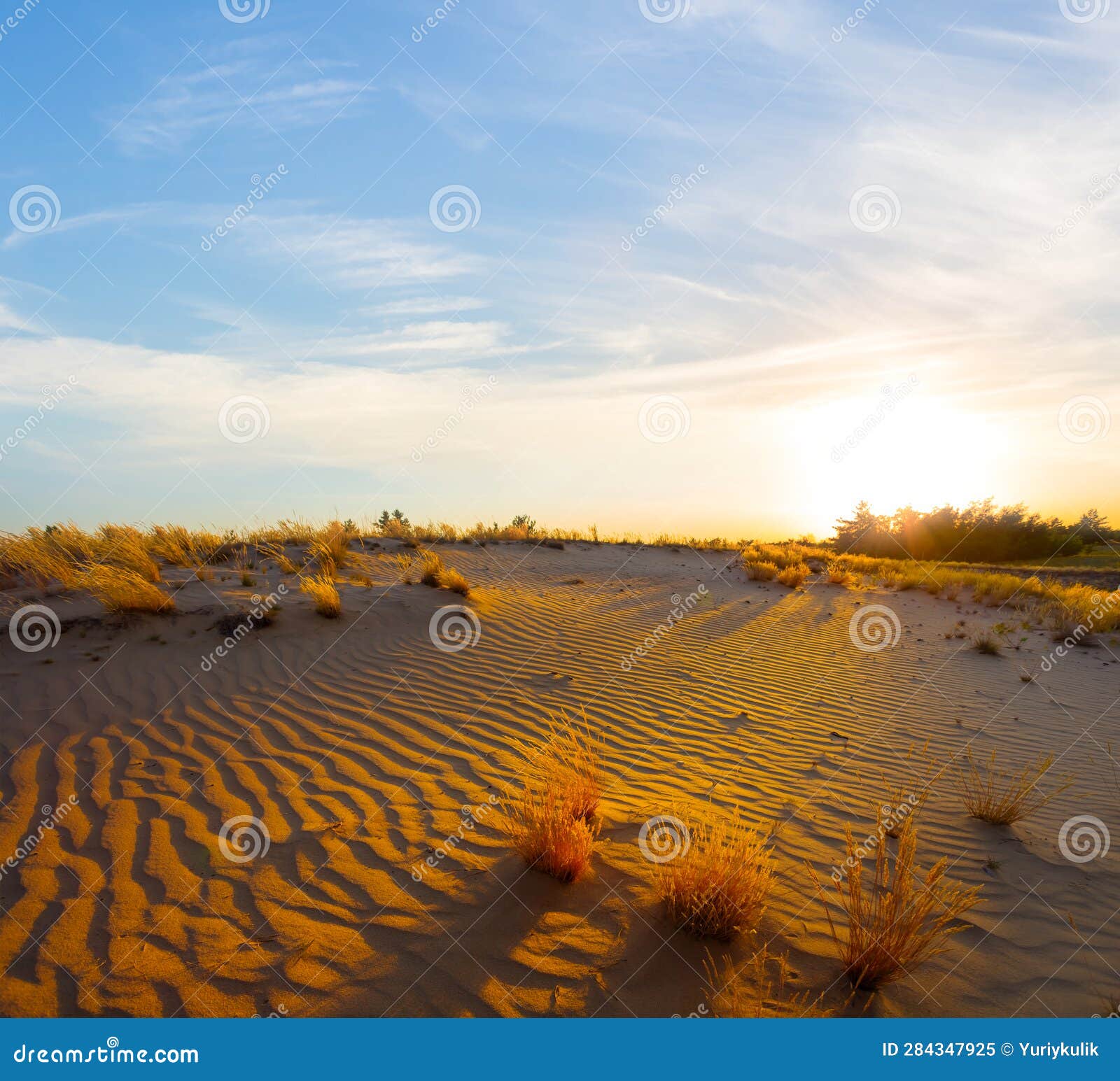 Sandy desert at the sunset stock image. Image of hummock - 284347925