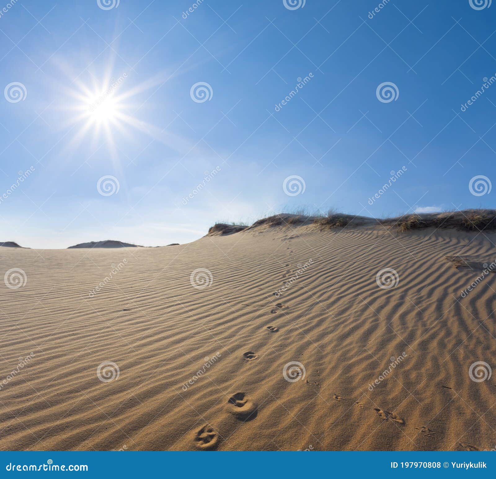 Sandy Desert Under a Hot Sparkle Sun Stock Photo - Image of dune ...