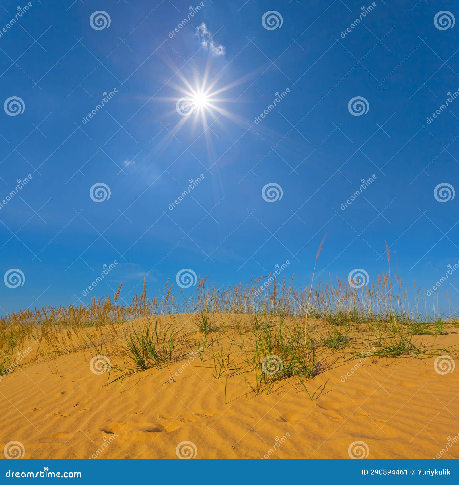 Sandy Desert Under a Sparkle Sun Stock Image - Image of wavy, sunbeam ...