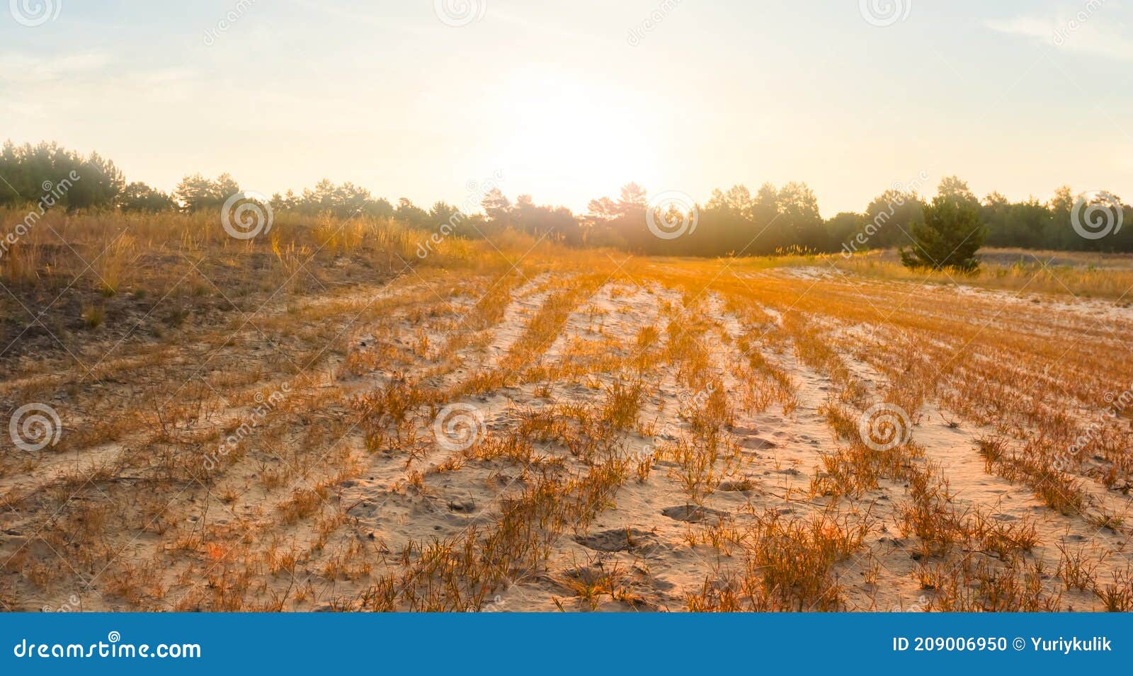 Wide Sandy Prairie at the Sunset Stock Photo - Image of sandy, sunrise ...