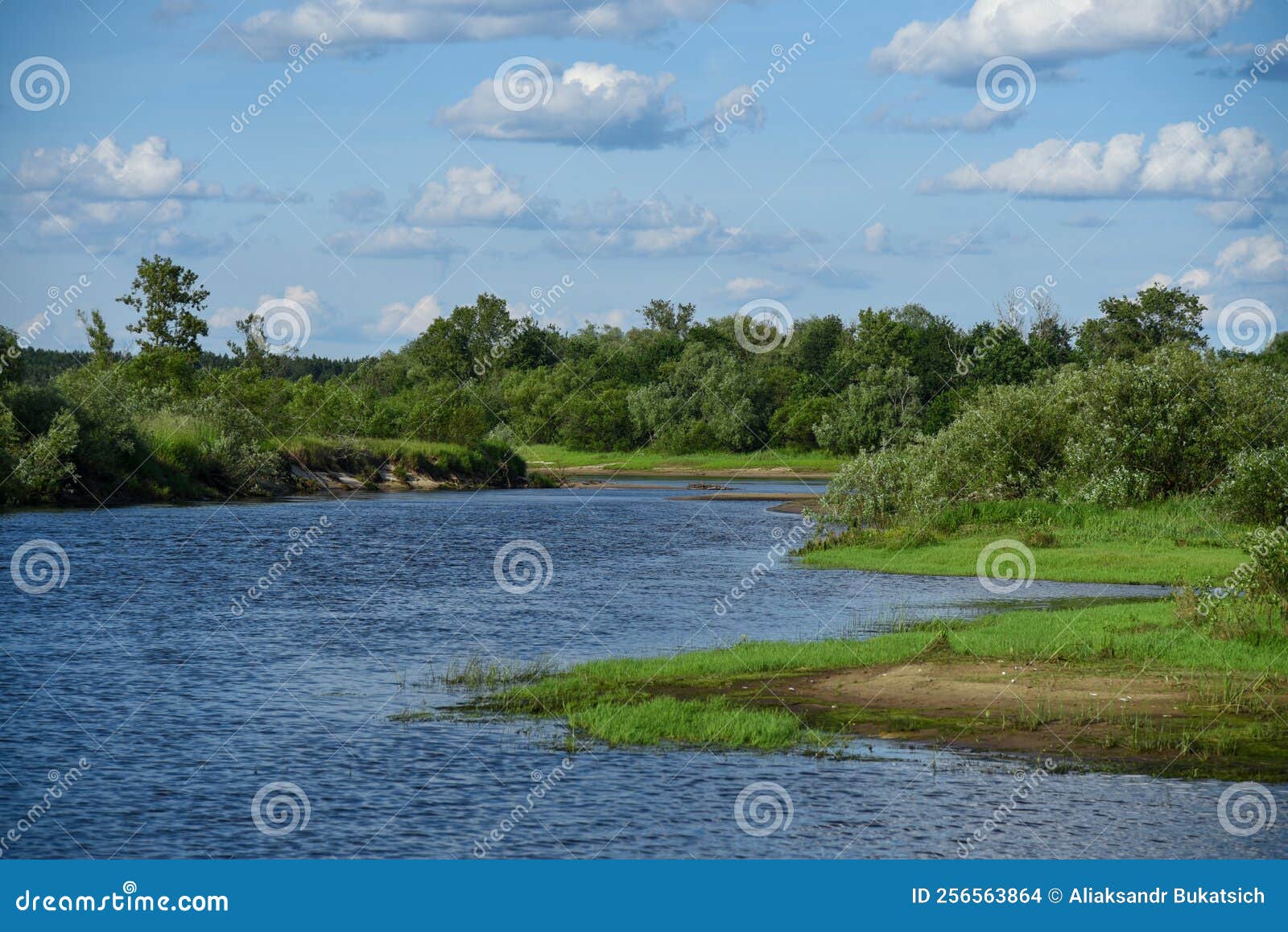 A Wide Shallow River Flows in a Field with Trees Stock Photo - Image of ...