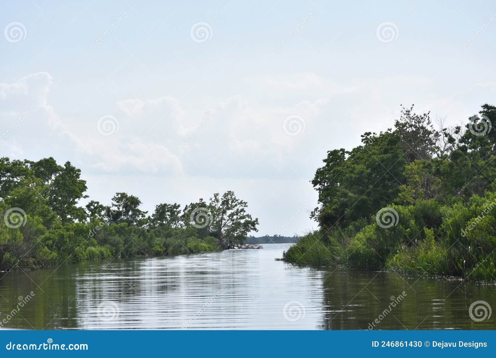 Wide Shallow Water Ways through the Bayou Stock Photo - Image of ...