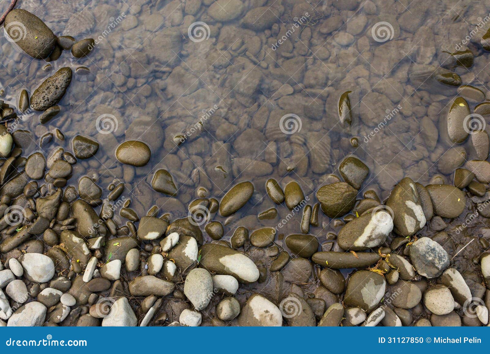 Wide shore with stones stock photo. Image of landscaping - 31127850