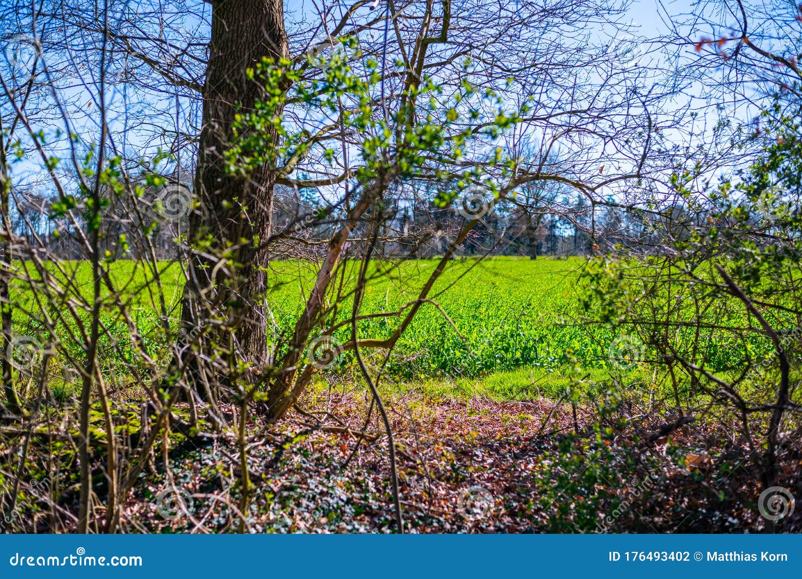 A Wide Shot of Fields during a Bright Cloudless Day Stock Photo - Image ...