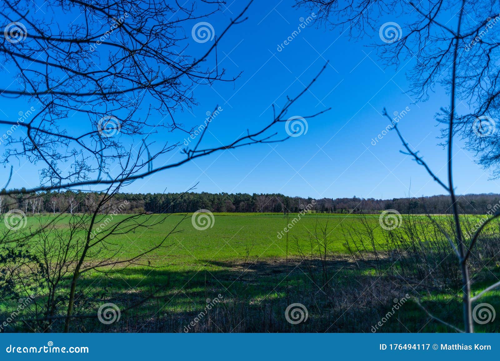 A Wide Shot of Fields during a Bright Cloudless Day Stock Image - Image ...