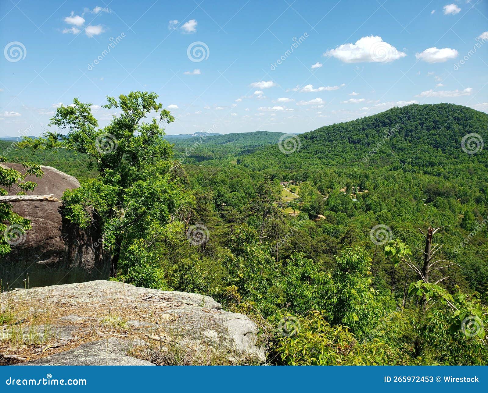 Wide Shot of a Forest on a Hill with Some Rocks in View Stock Image ...