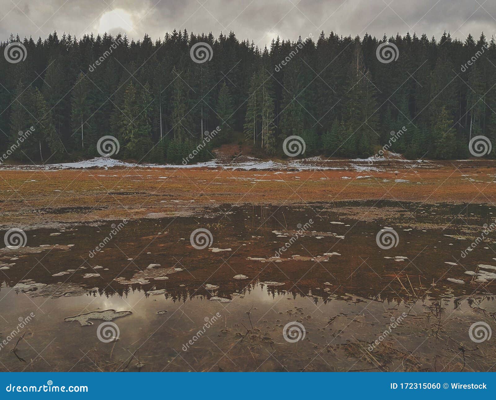 Wide Shot of a Lake and Forest from Afar with a Dark and Cloudy Sky ...