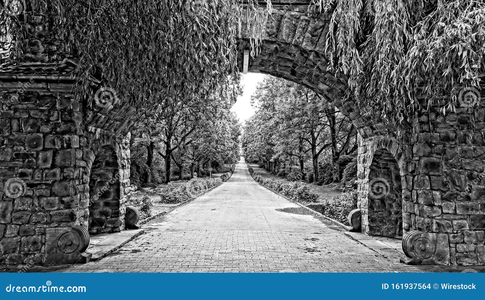 Wide Shot of a Pathway with a Bridge in the Middle of Trees in Black ...