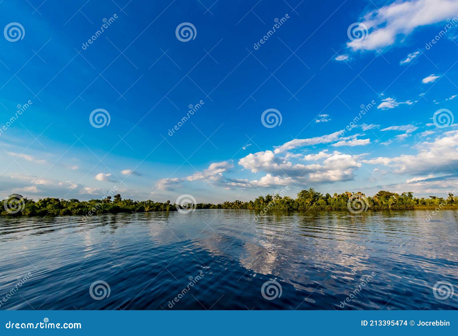 Wide Shot of Peace River on West Coast of Florida Stock Photo - Image ...