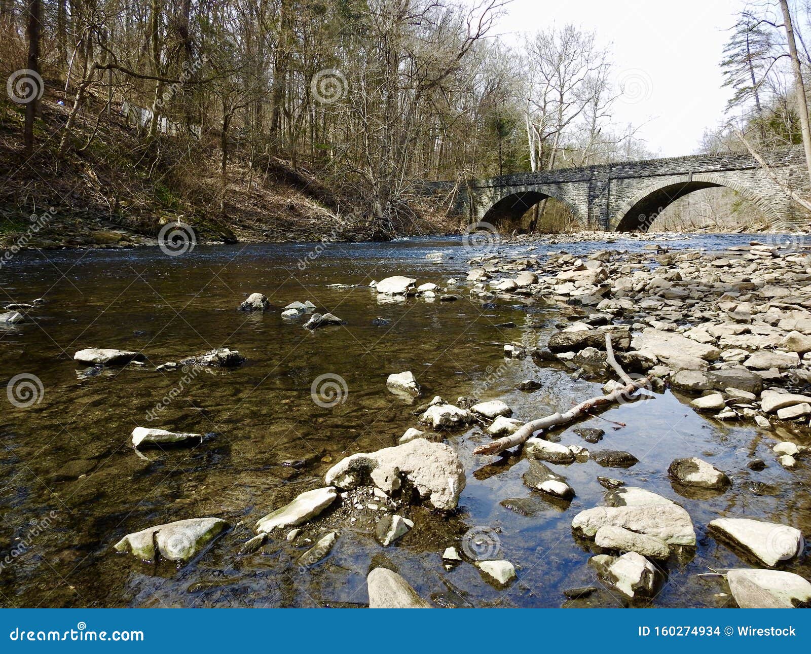 Wide Shot of a River Under the Bridge Surrounded by Bare Trees and a ...