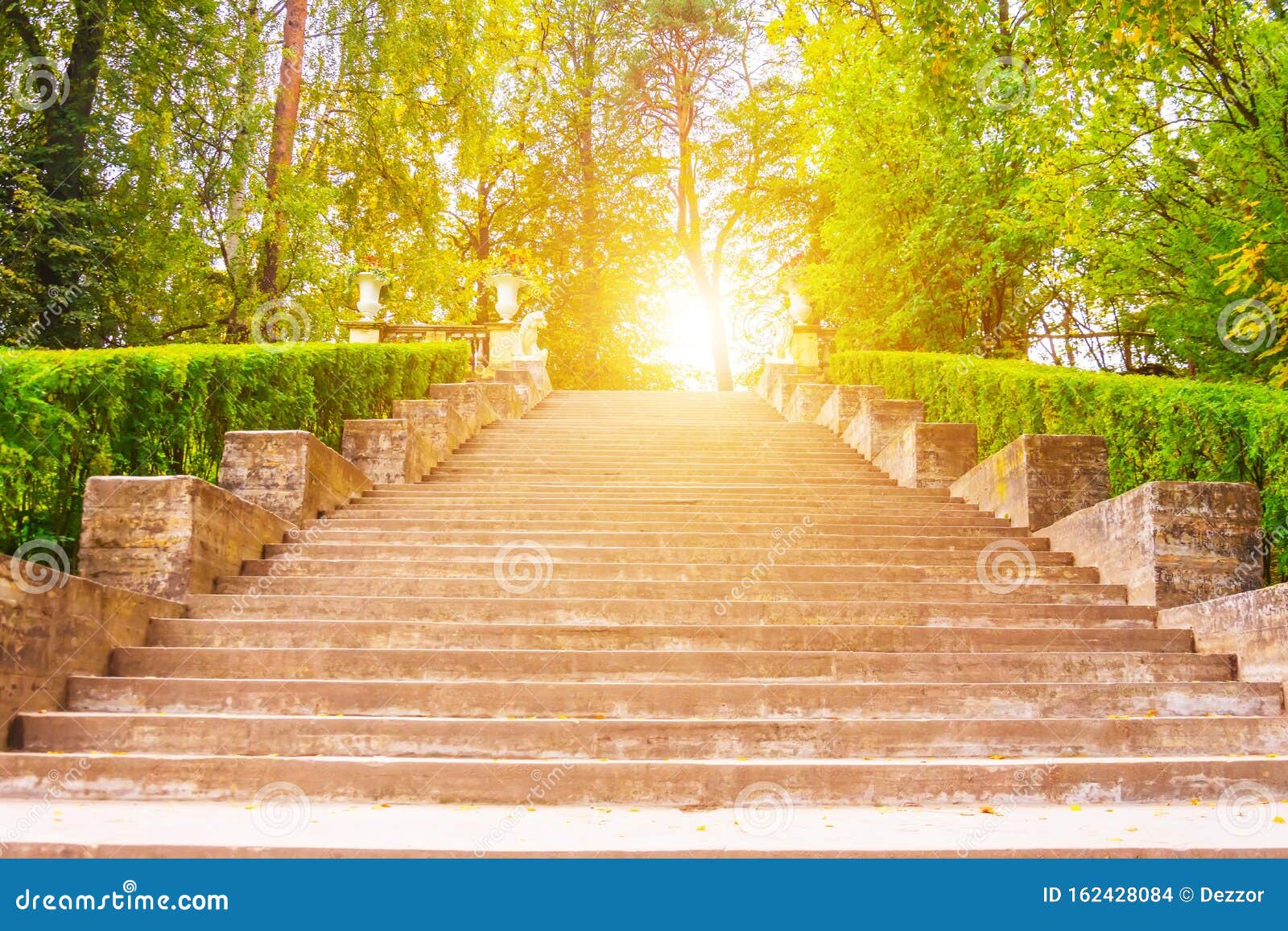 Wide Staircase Looking Up in the Park with Bright Light Stock Photo ...