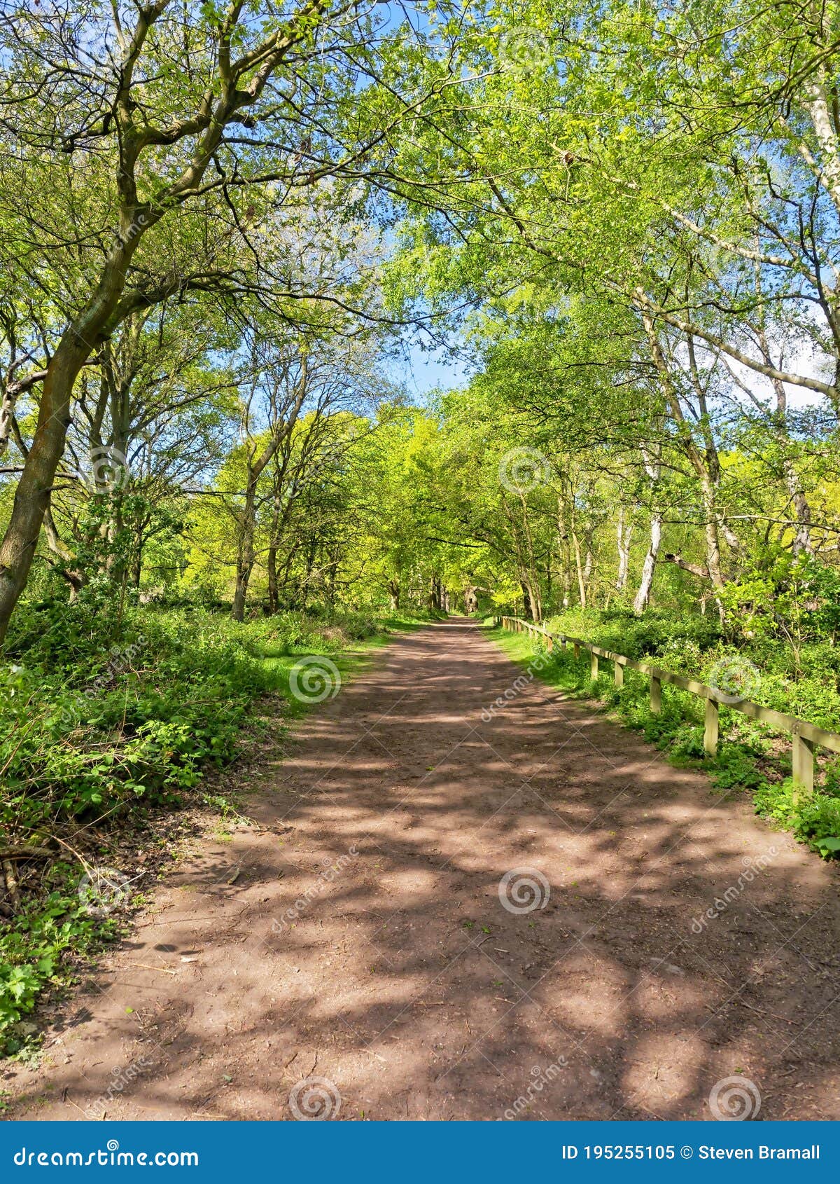 Two Wide, Straight Hiking Trails In The Park Diverge In Different ...