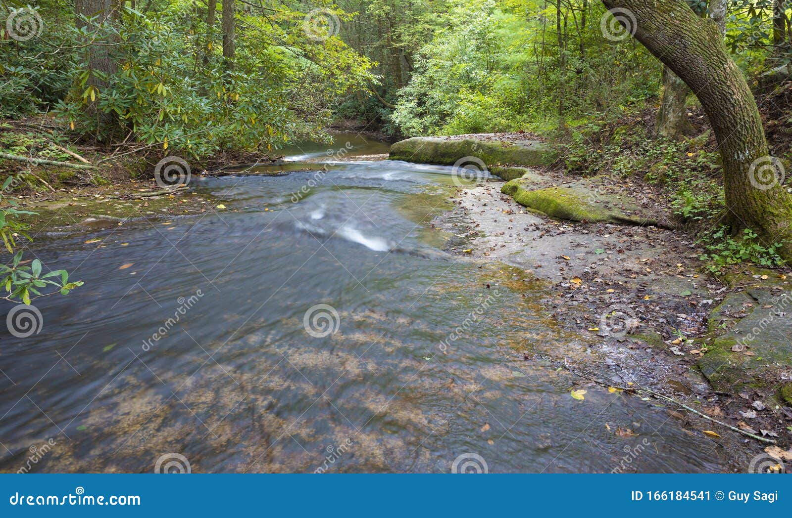 Wide Stream Running Across Rock Stock Image - Image of yellow, relaxing ...