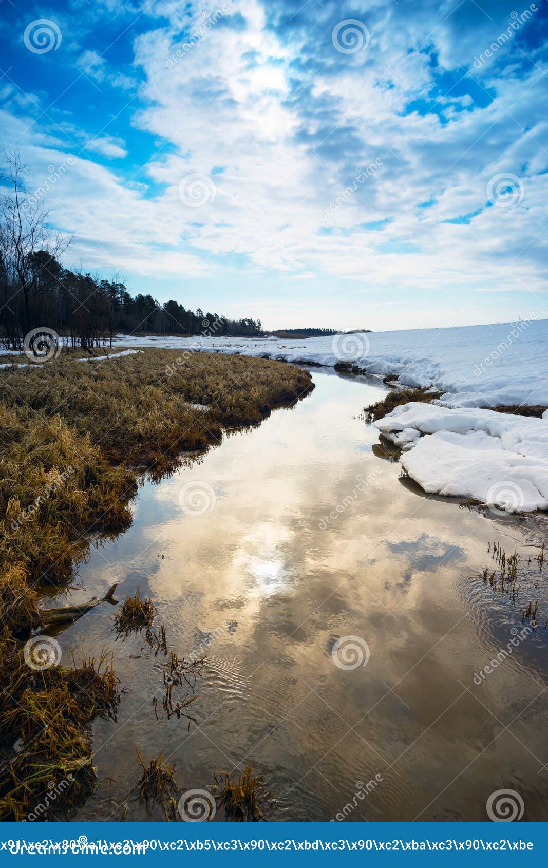 Wide Stream in the Spring . Siberia, Yugra. Stock Photo - Image of ...