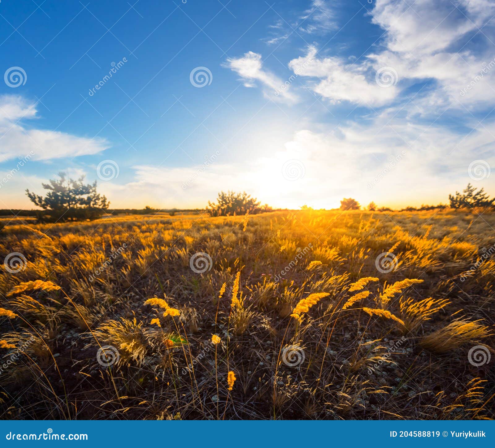 Wide Summer Prairie at the Dramatic Sunset Stock Image - Image of grass ...