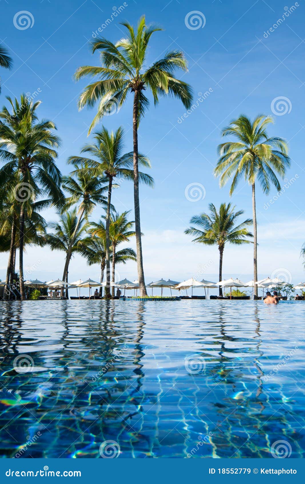 Wide Swimming Pool in Resort Stock Image - Image of creation ...