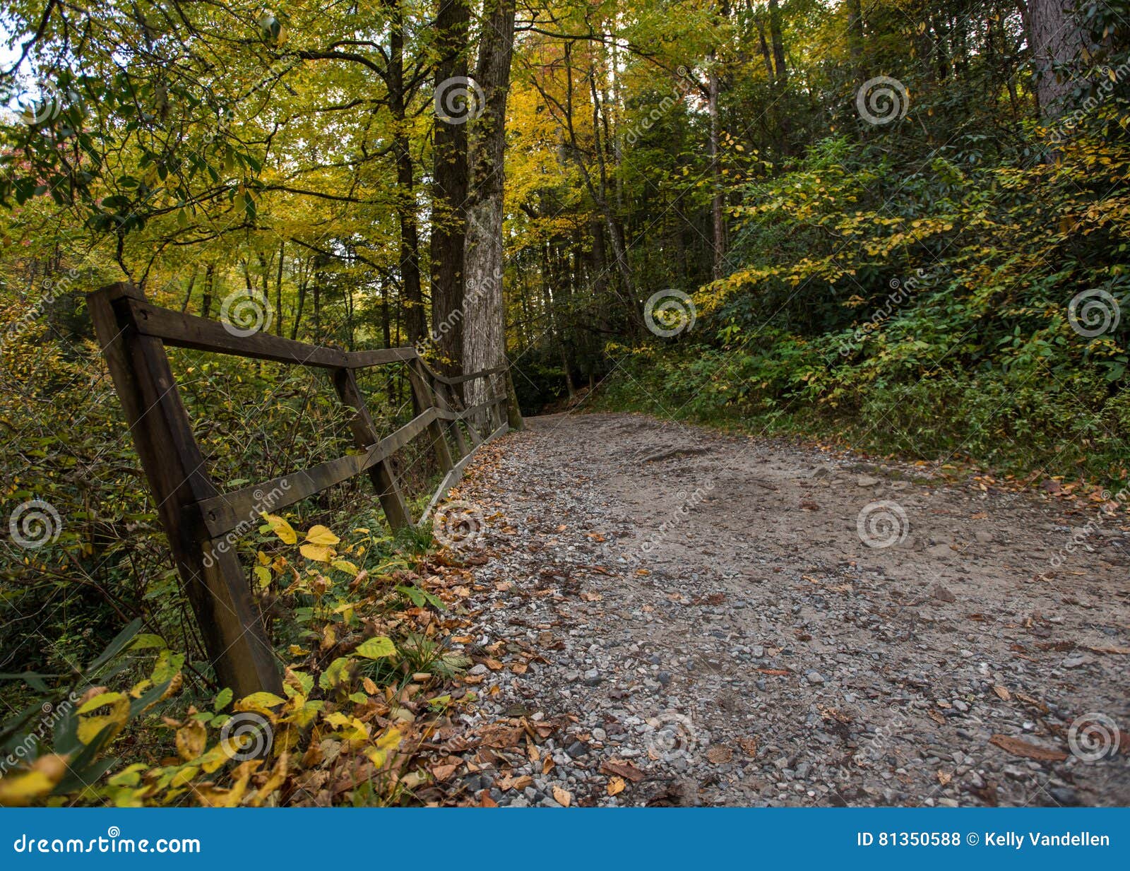 Wide Trail and Railing in Fall Stock Photo - Image of gravel, season ...