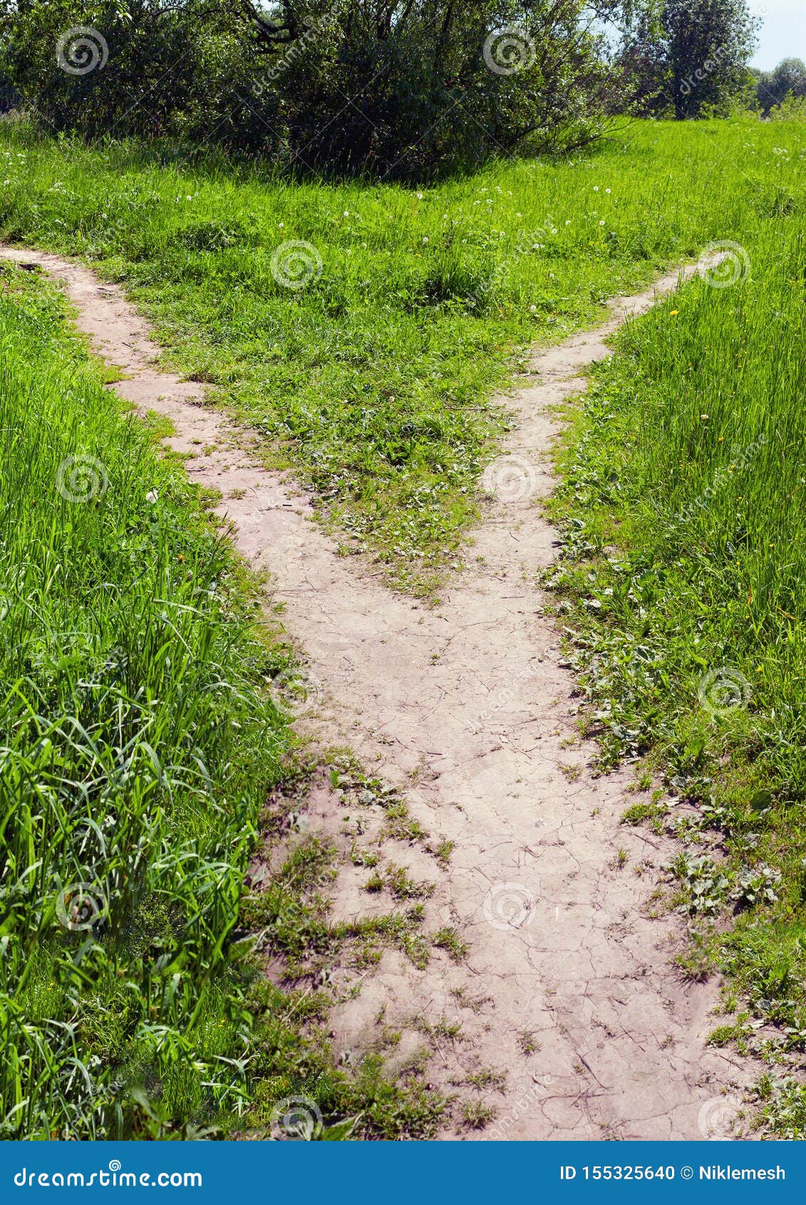 The Wide Trodden Path in the Grass Splits into Two Narrow Paths Stock ...
