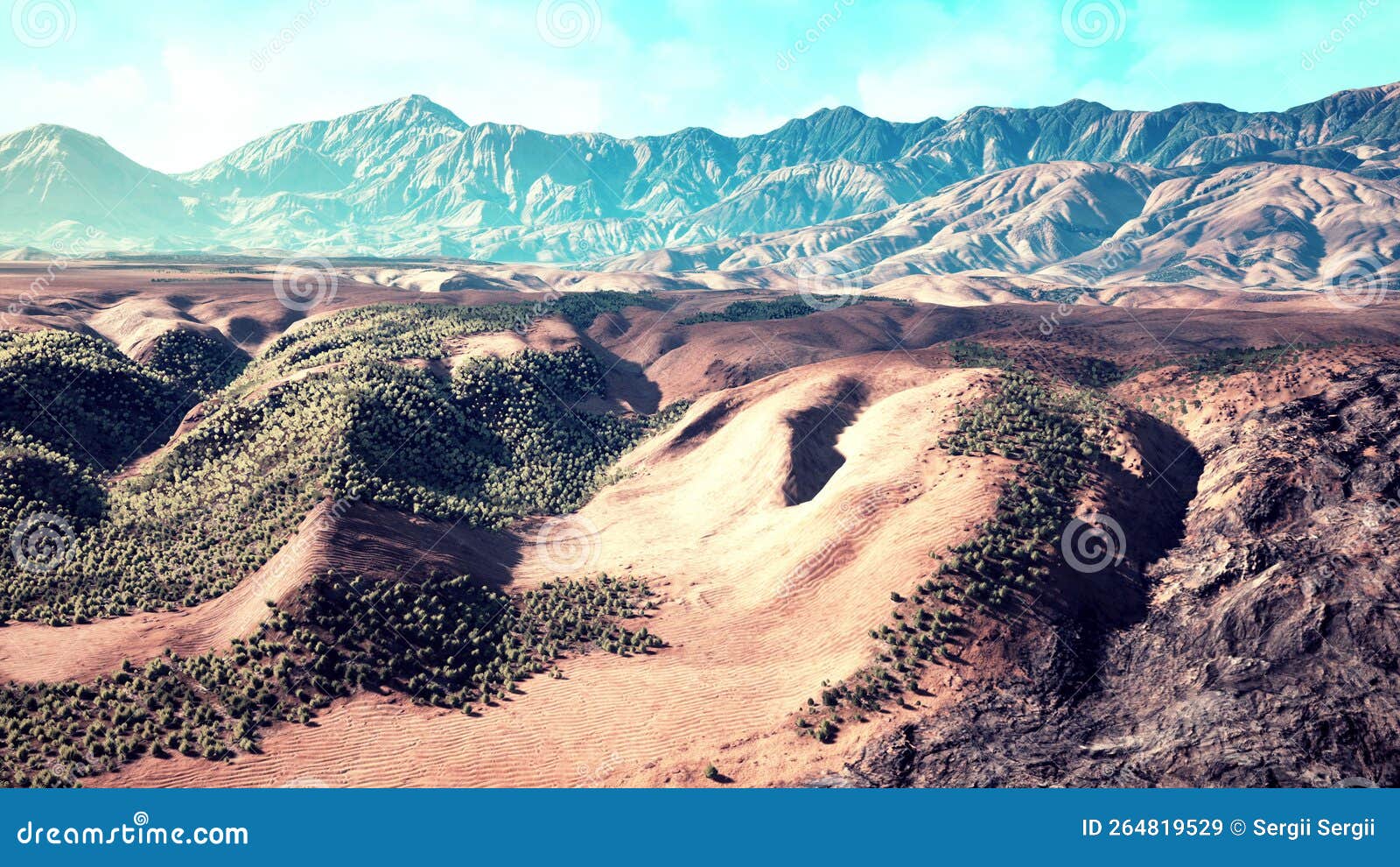 Wide View of California Desert Stock Illustration - Illustration of ...