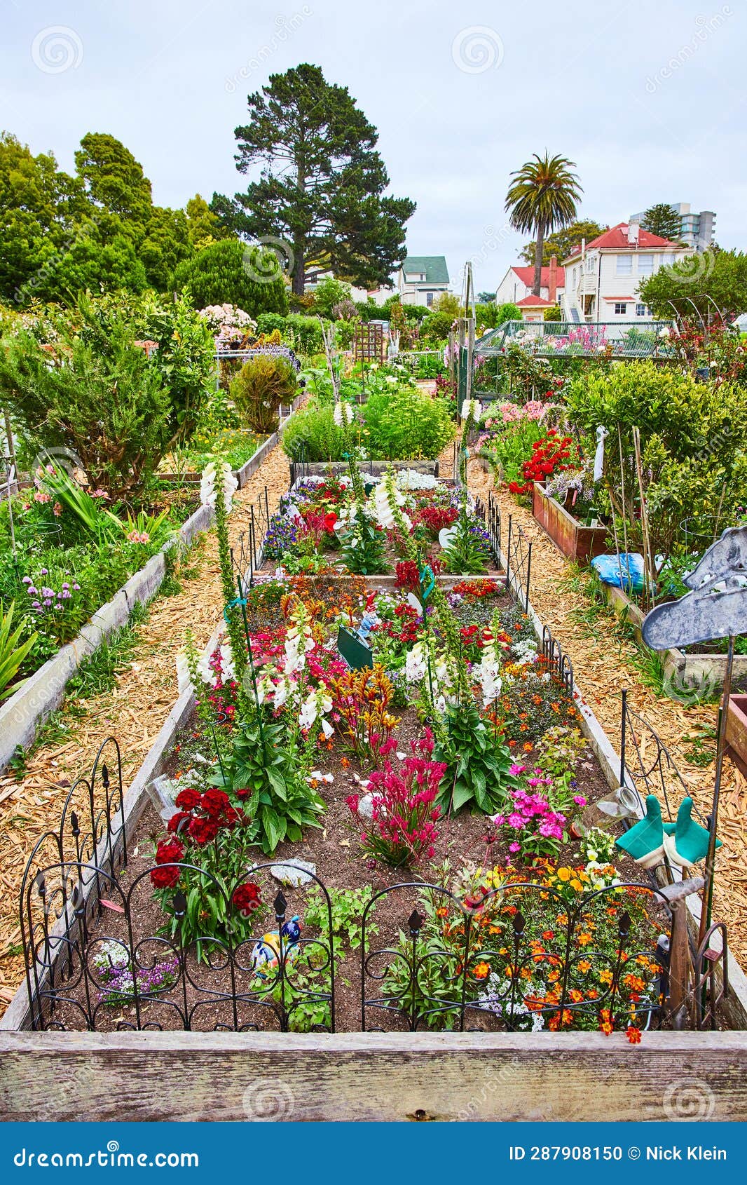 Wide View of Flower Garden with Multiple Colorful Flowers and ...