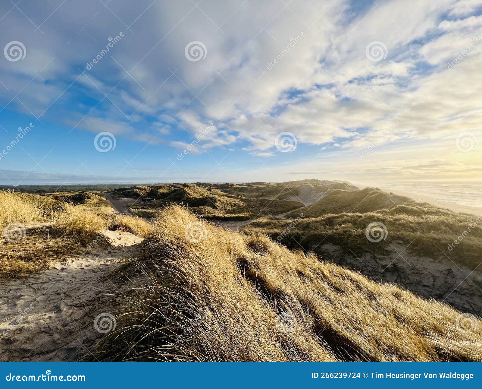 Wide View Over Intact Nature in the Middle of Sand Dunes Stock Photo ...