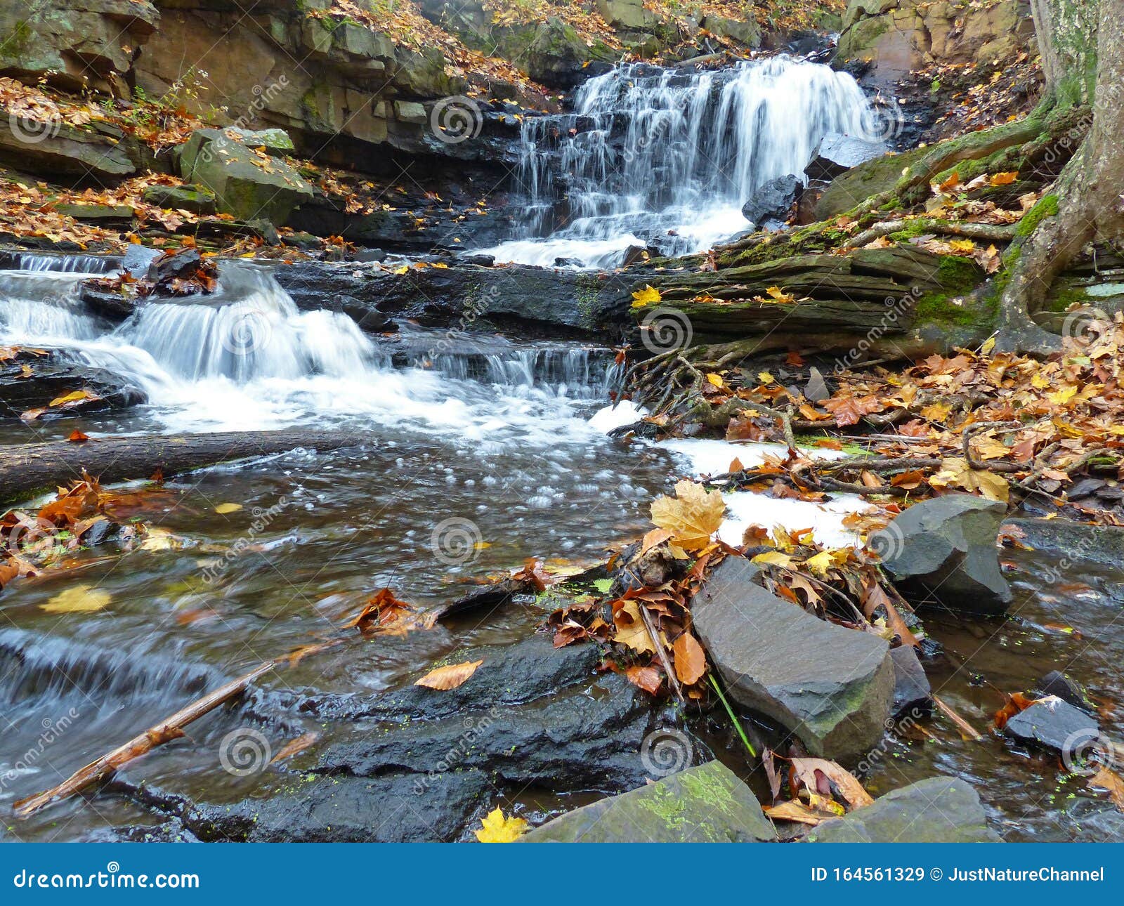 Waterfall in the Woods stock image. Image of green, background - 164561329