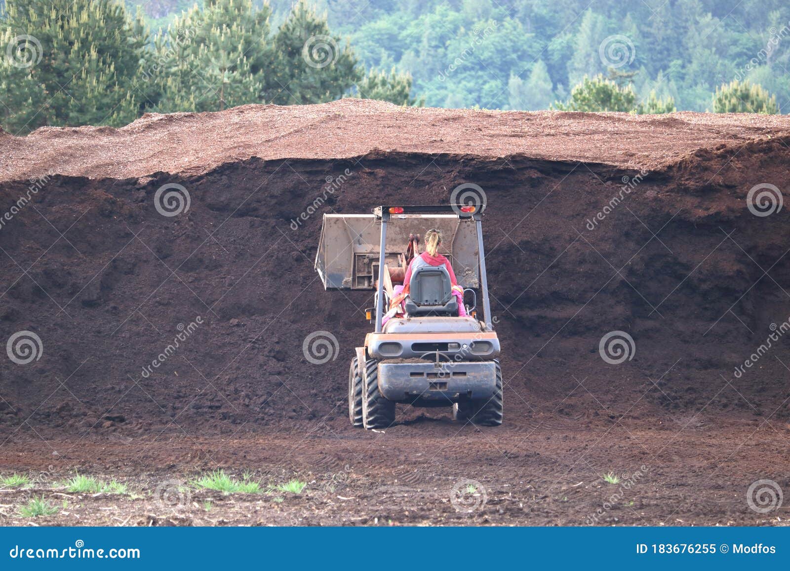 Female Operating Small Compact Loader Editorial Image - Image of soil ...