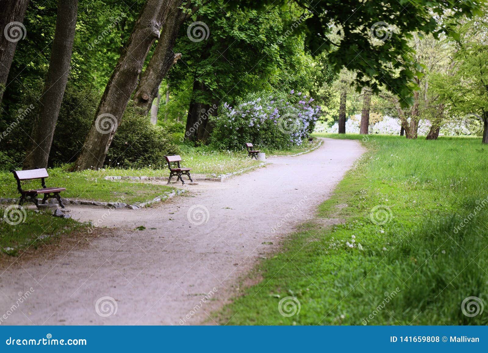 Wide walking path stock photo. Image of landscape, architecture - 141659808