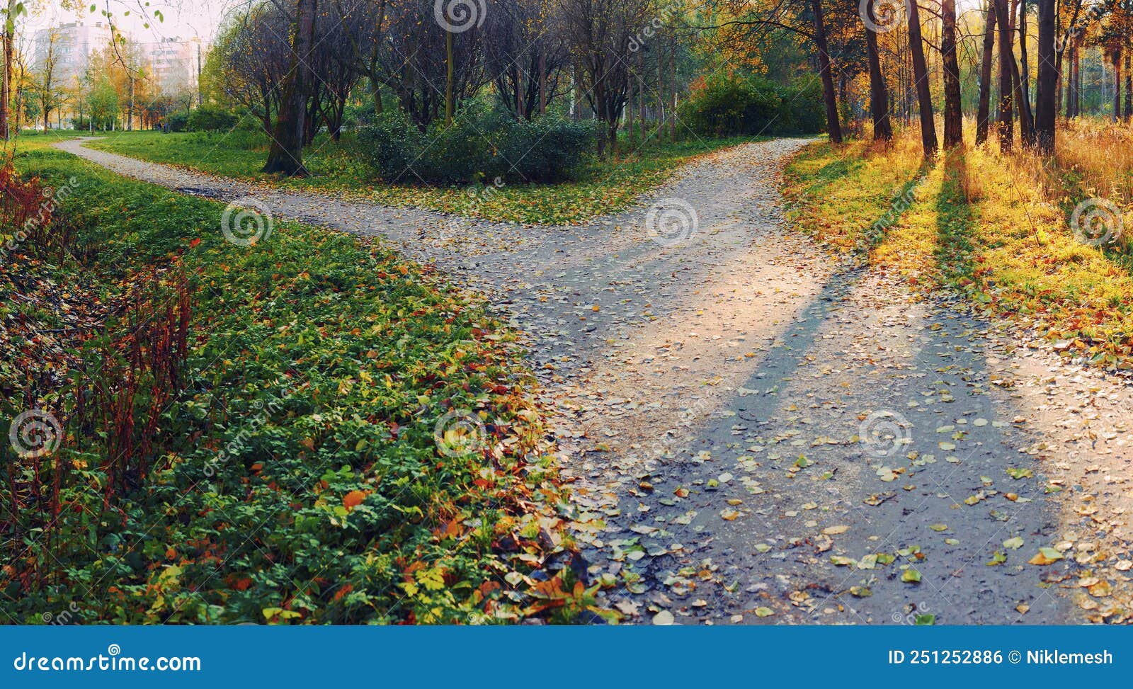 Diverging Path Sidewalk Dirth Path Grass Outdoors Decision Road Royalty ...
